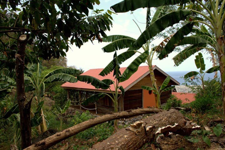 The Little House, Crayfish Bay Organic Estate - Grenada