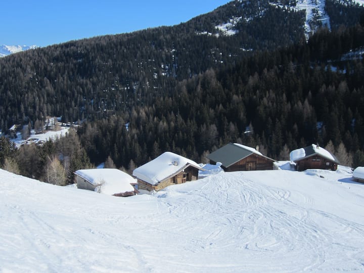 Chalet Savoyard Typique - Belle Plagne