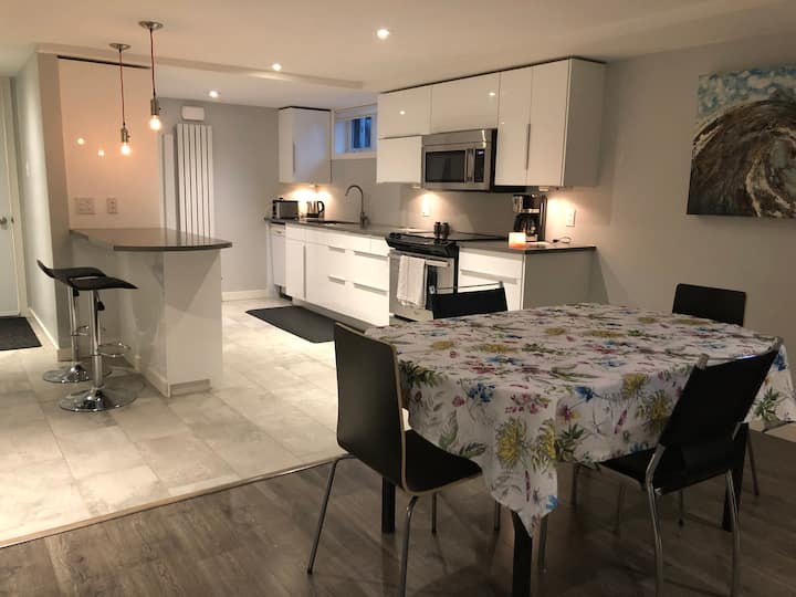 Grand Logement  De 900 Pieds Carré Au Sous Sol - Gatineau