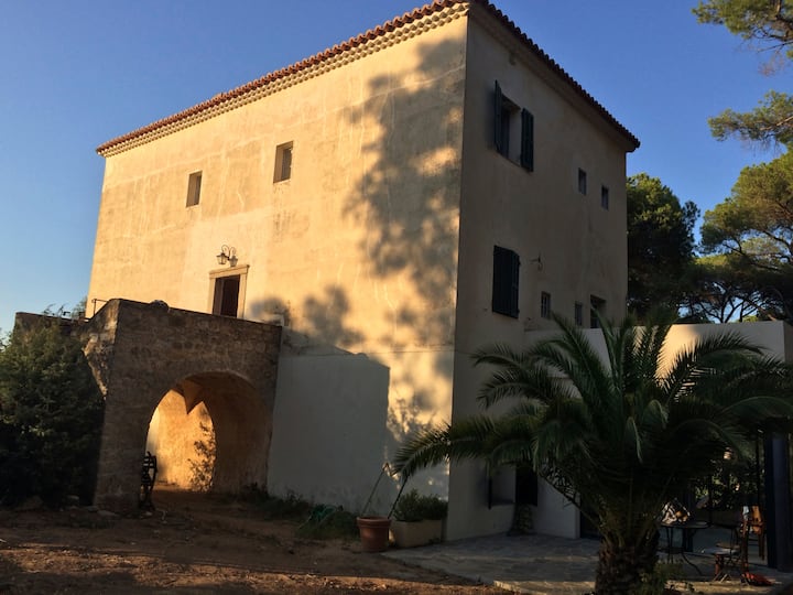 Maison Dans La Vigne, Entre Mer Et Montagne - Calvi
