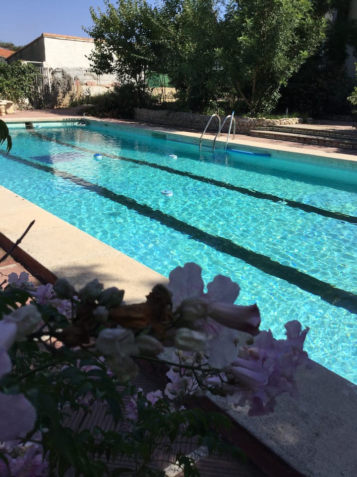 Luxury Villa With Private Pool 20min Moto Circuit - Montserrat, Valencia