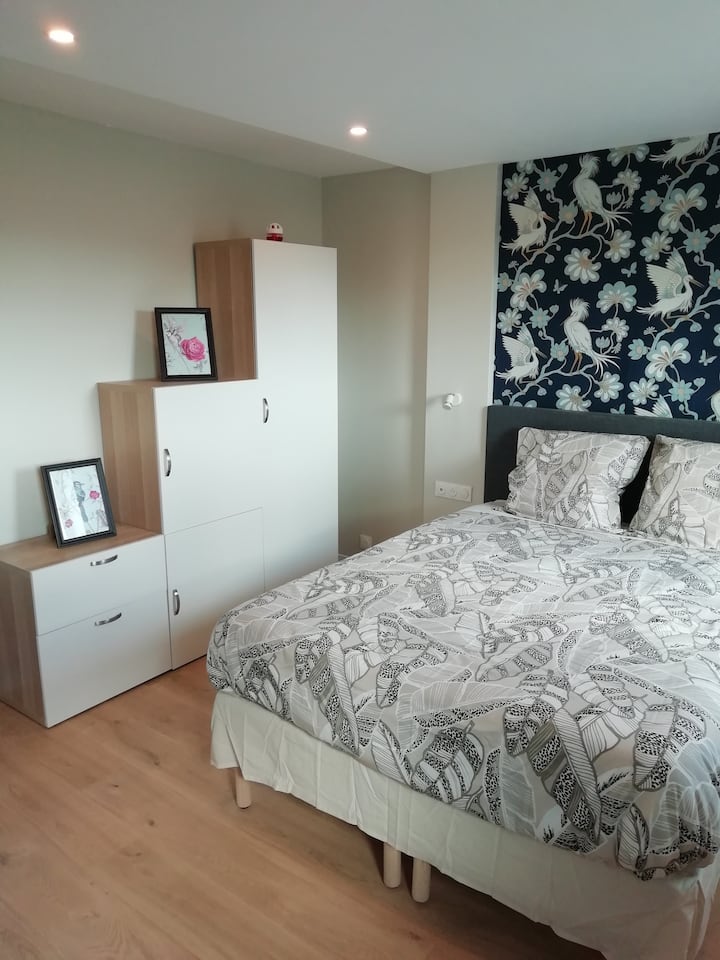 Chambre Aux Oiseaux Salle De Douche & Wc Privatifs - Mouscron