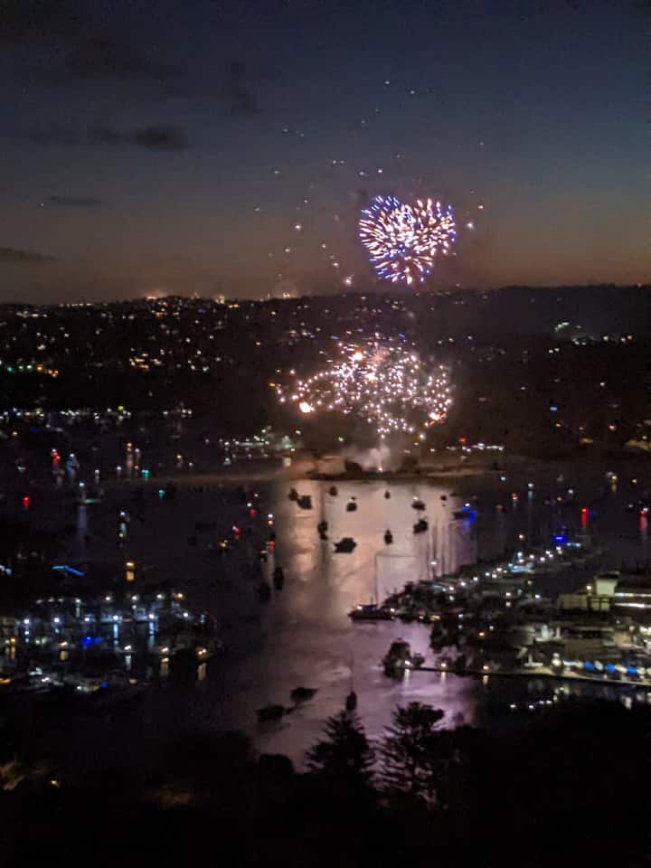 Newport Tree Top Oasis - Scotland Island