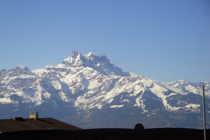 Chalet Style Flat Spectacular Views - Vevey