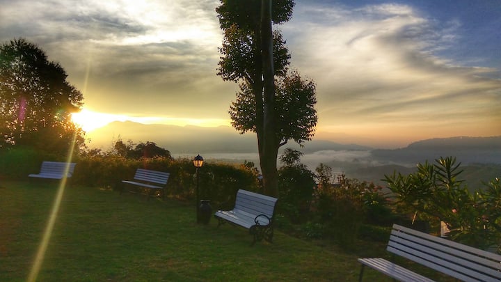 Getaway Amidst The Mountains - 2 - Munnar