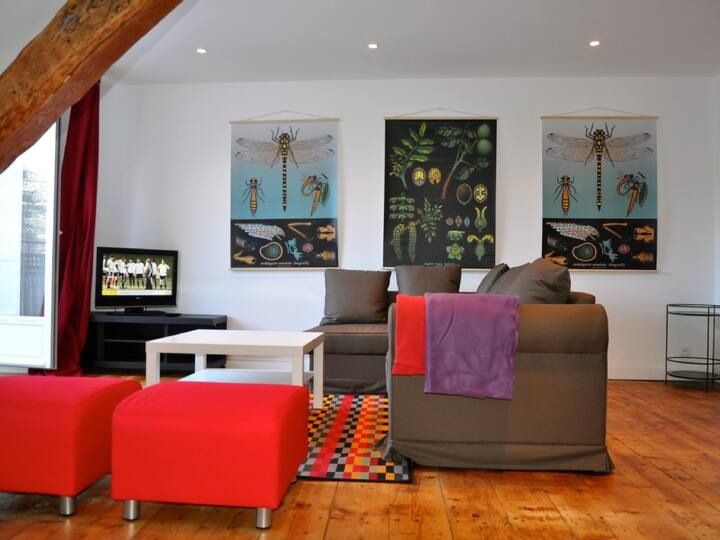 Grand Appartement T4, Plein Centre Luchon, Confort - Bagnères-de-Luchon