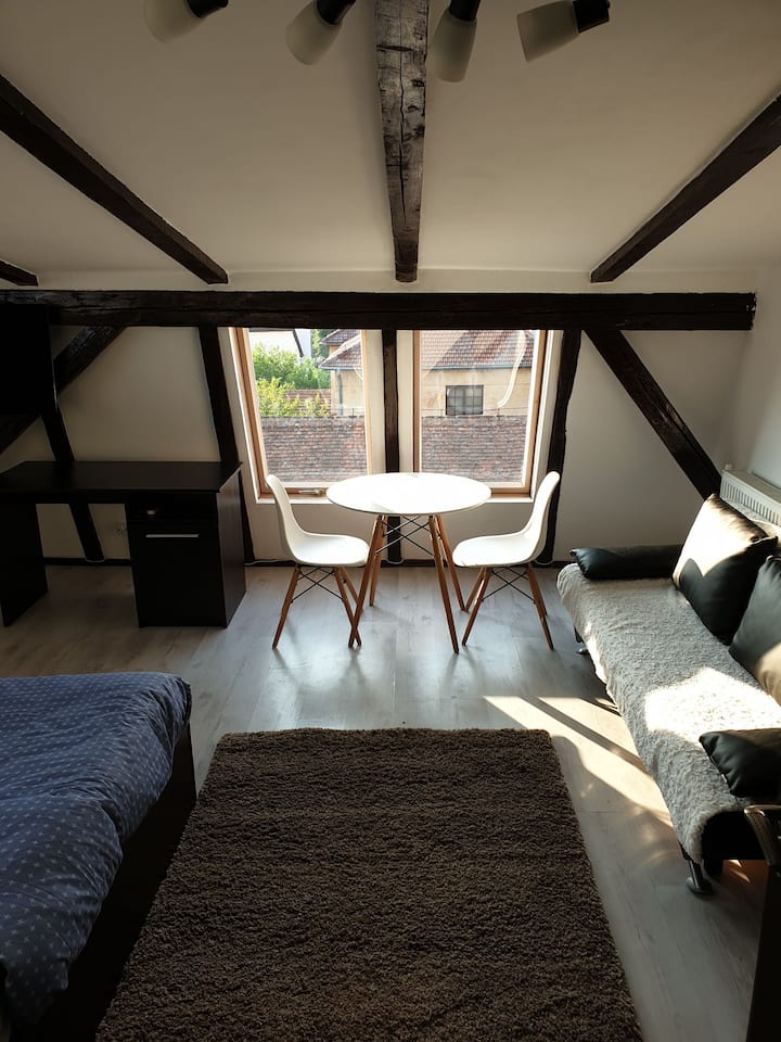 Apartament La Mansarda, In Centrul Orasului Oradea - Oradea