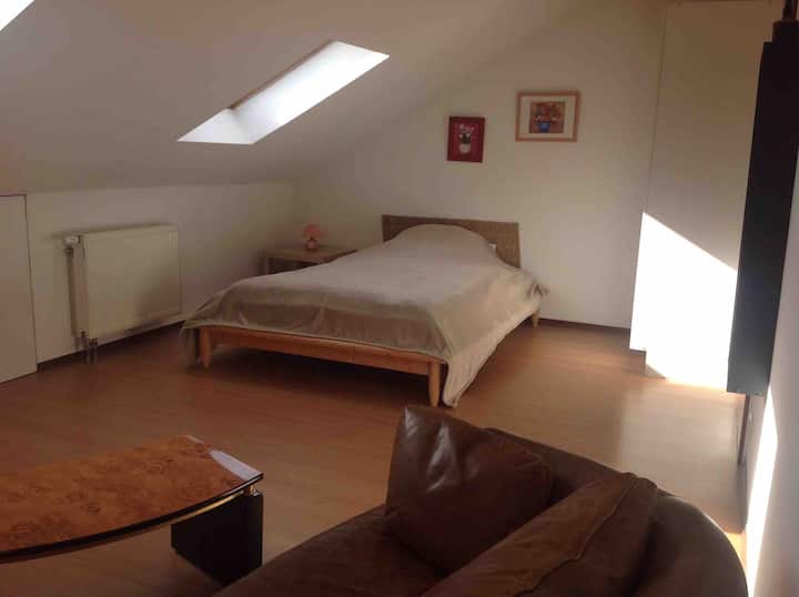Großes Zimmer, Küche, Bad/dusche Nähe Messe 30qm - Frankfurt