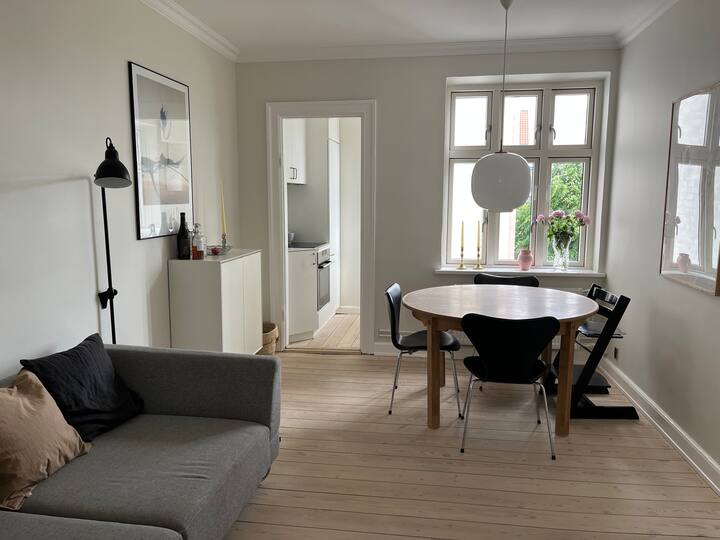 Charming And Central Apartment - Aarhus