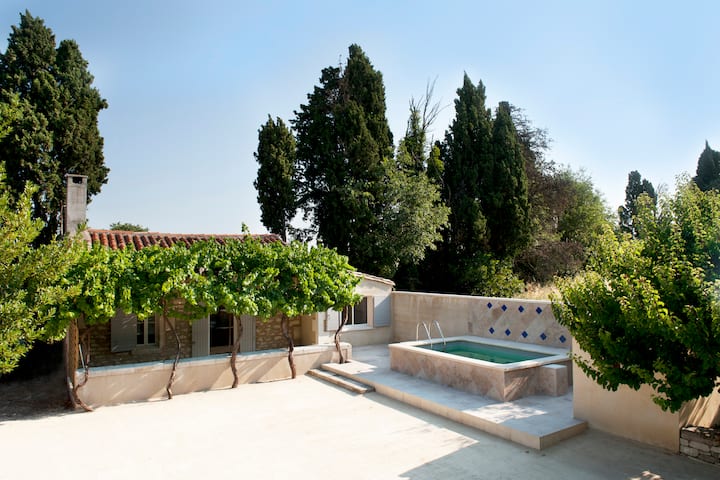 Le Petit Mazet - Saint-Rémy-de-Provence