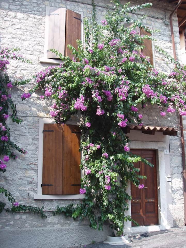 Fantastique Maison Gargnano Centre - Gargnano
