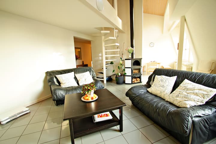 Apartment Deluxe - Bern