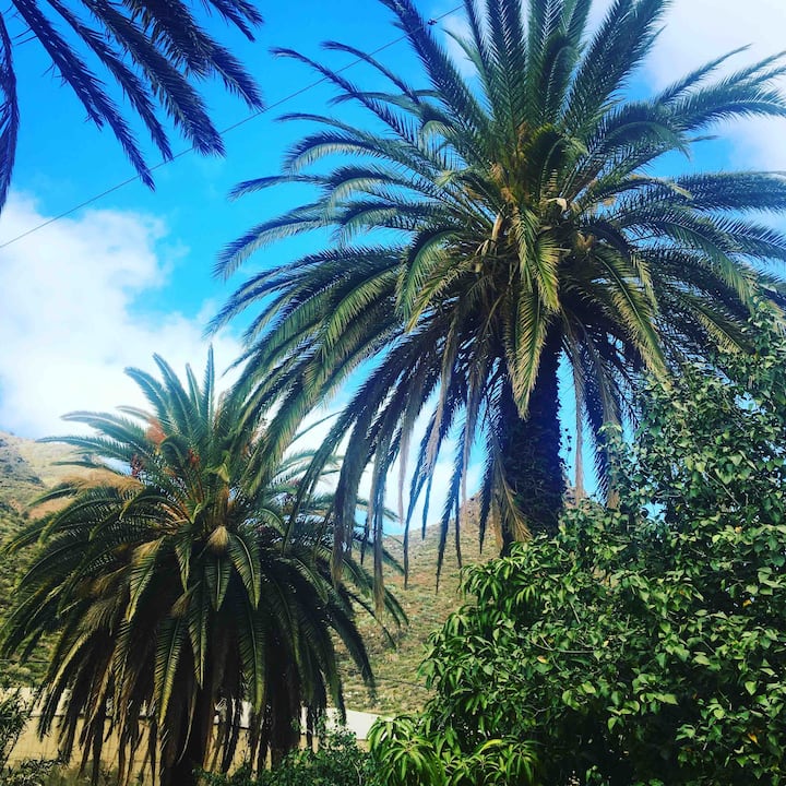 50sqm Apartment On A Finca Near San Sebastian - San Sebastián de La Gomera