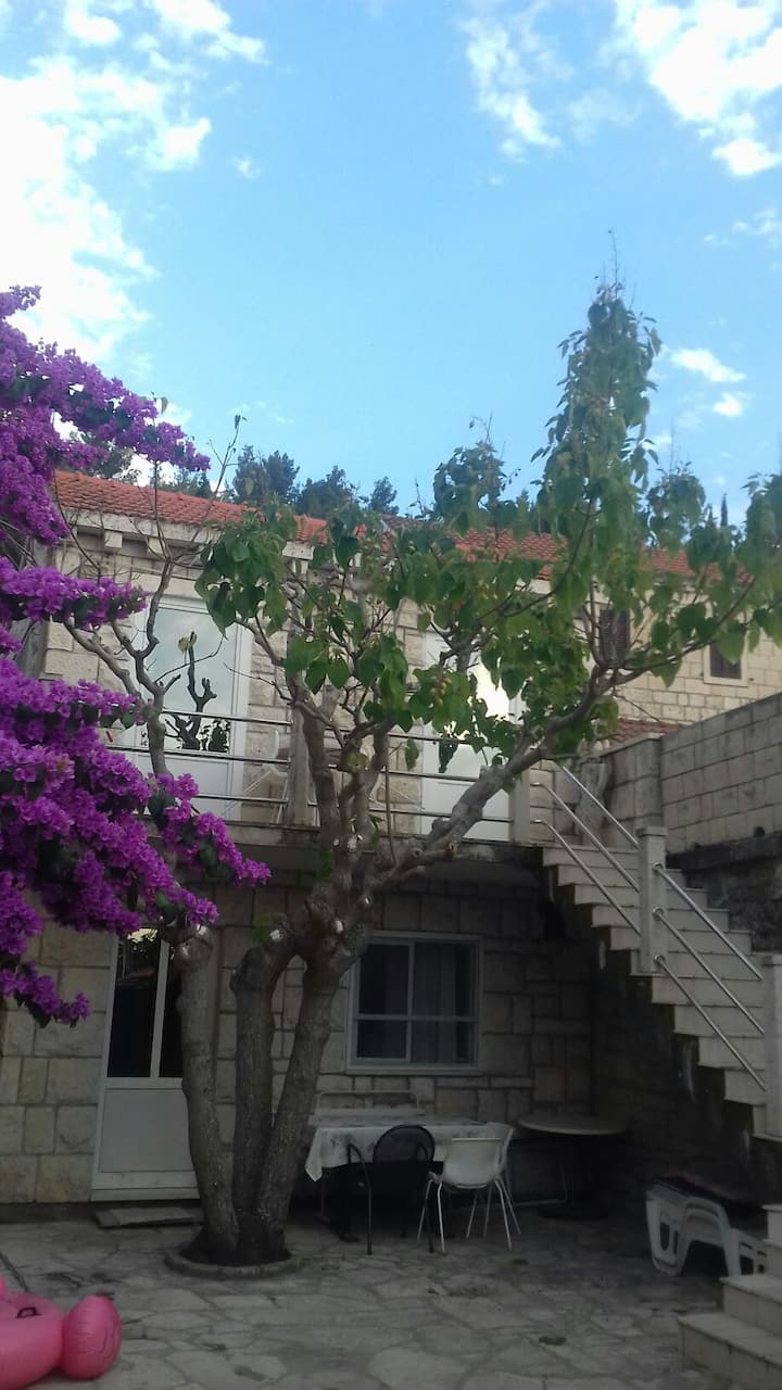 Apartman M 1 U Neposrednoj Blizini Plaže - Korčula