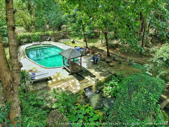 Green Mountain Spring Farm - Farm stays for Rent in Barili, Central ...