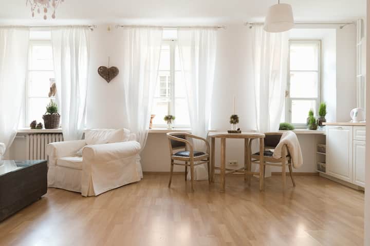 Cosy Vintage Apt Old Town Warsaw - Polonia