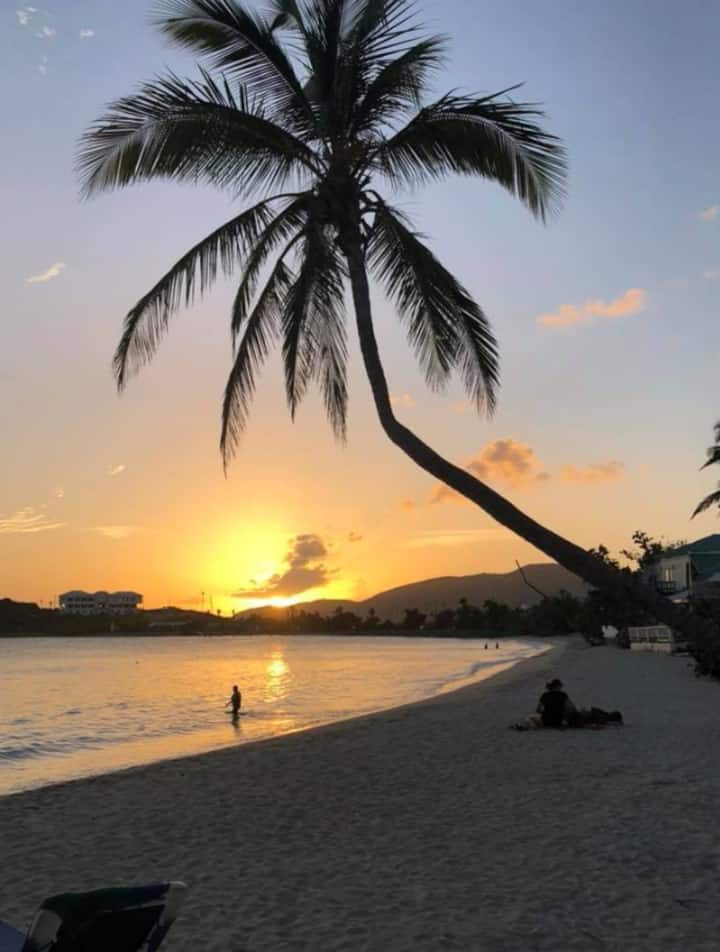 Best Reviews On The East End - Hands Down! - U.S. Virgin Islands