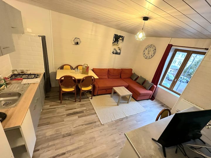 Rose - Spacieux 2 Pièces Face à La Montagne - Saint-Nectaire