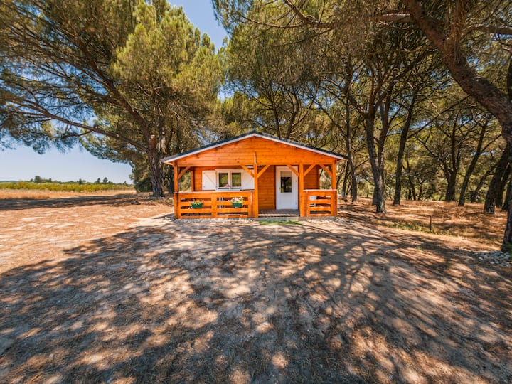 Chalet De Lago - Pêssego - Montargil