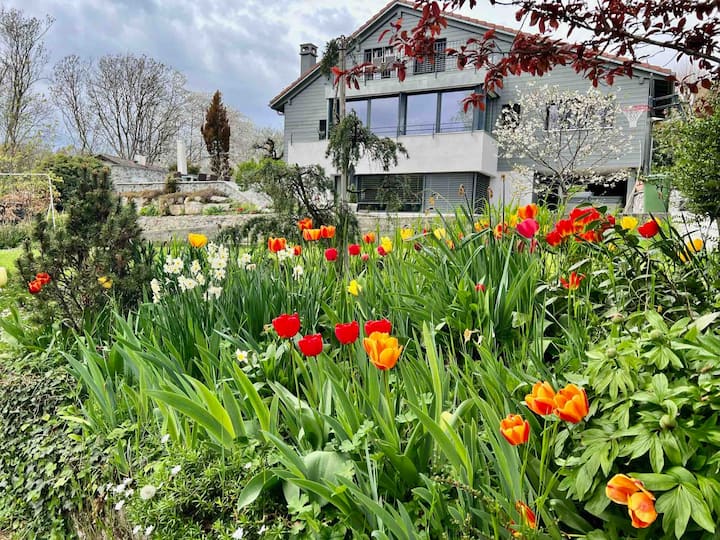 Luxury Modern Family Home With Exceptional Garden - Morges