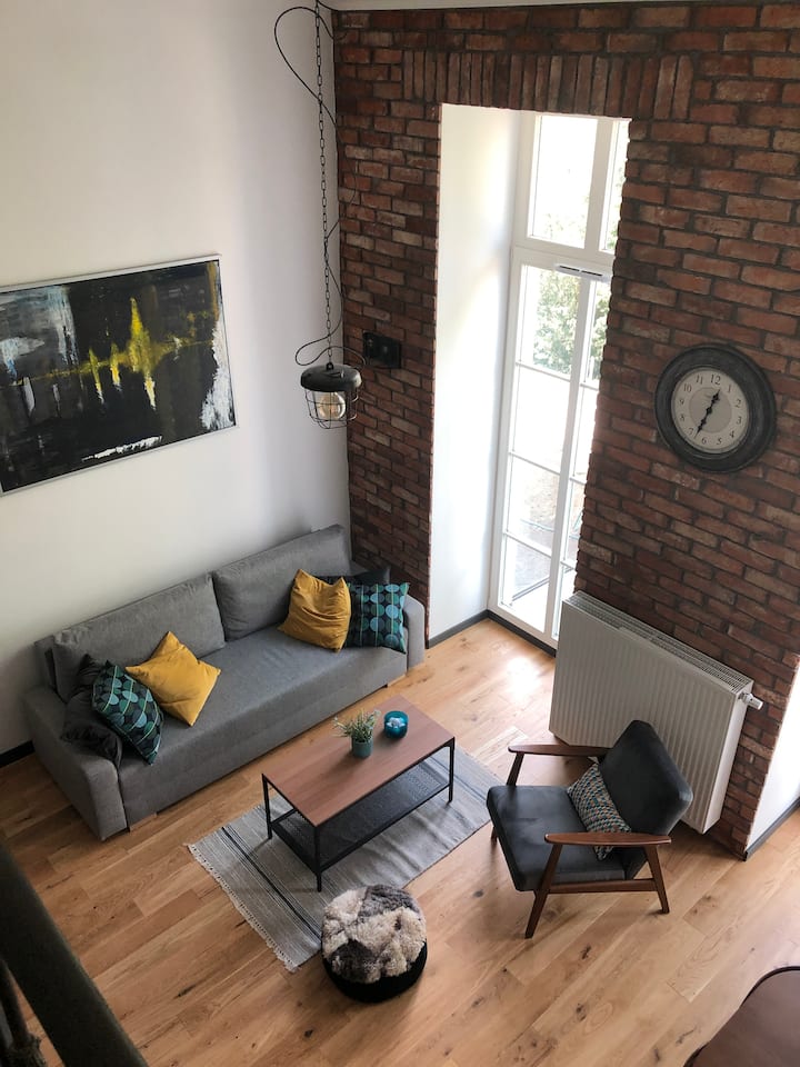 Industrial Apartment 40m City Center High Standard - 樂斯拉夫