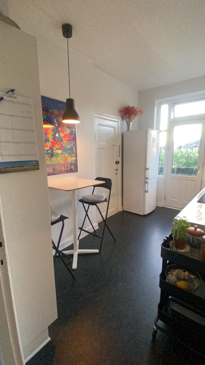 Stort Privat Værelse Centralt I København - Copenhaguen