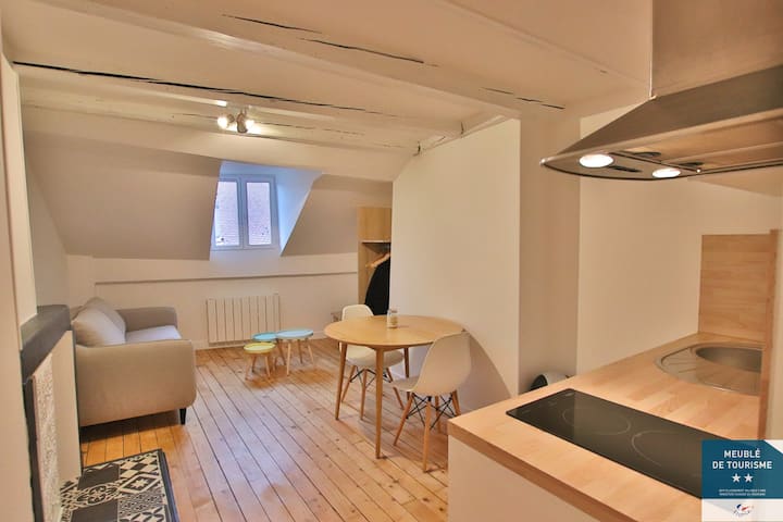 Studio Sainte-claire - Vieille Ville Annecy 2* - Annecy-le-Vieux