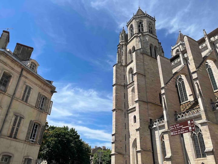 Vue Unique En Plein Coeur De Dijon - Dijon