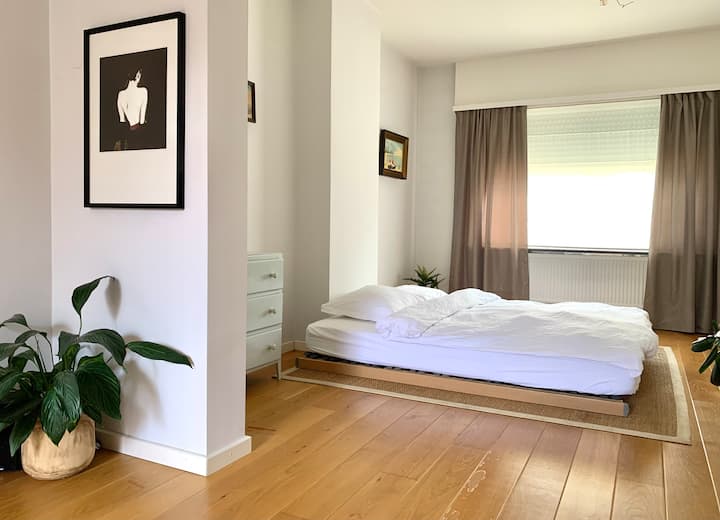 Mooi En Gezellig Gelijkvloers Met Patio - Gand