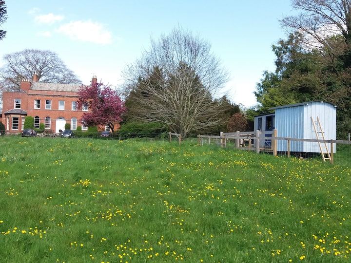 Sutton Court Shepherd's Hut - Hereford