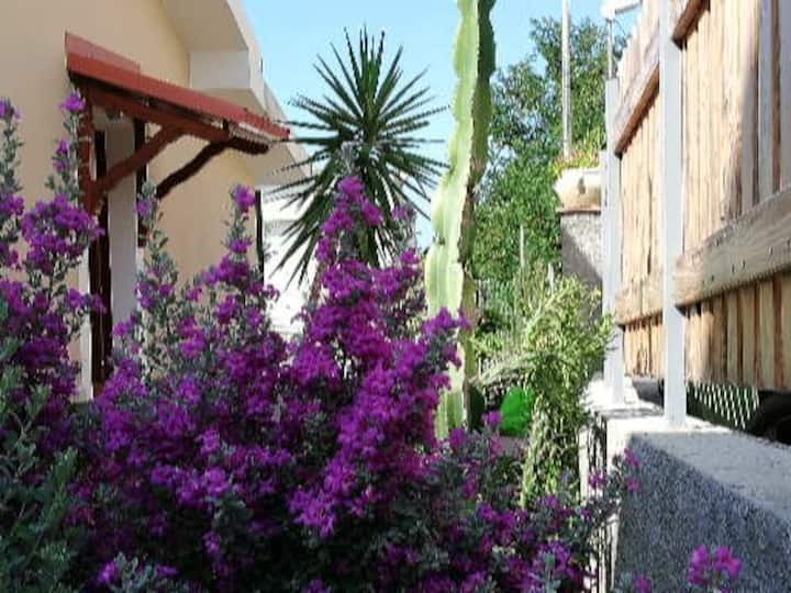 Casa Alfa - Guardia Piemontese