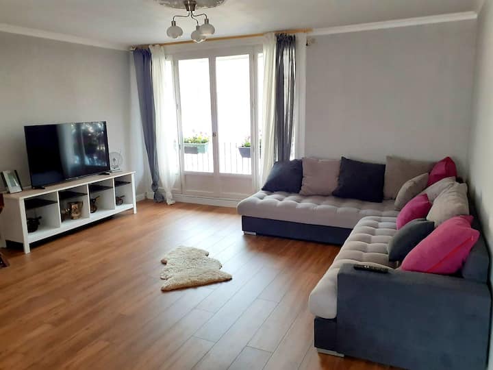 Appartement Avec Superbe Vue Basilique Saint Remi - Reims