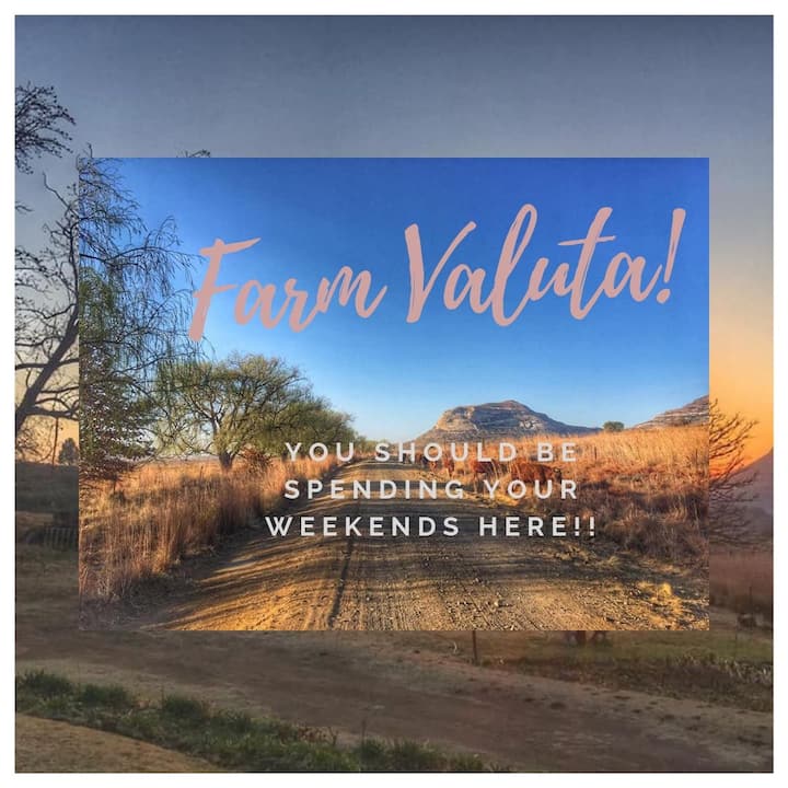 Picturesque Farm Living In The Eastern Freestate - Ficksburg