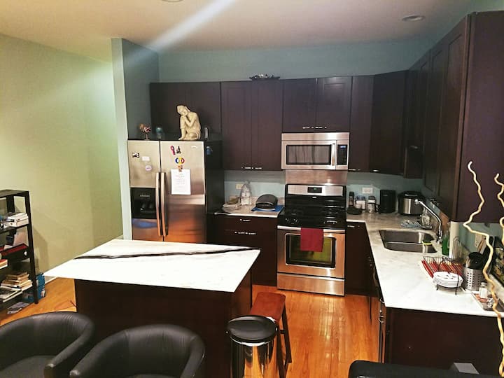 Spacious And Very Bright 2bdr Loft Near Downtown - Chicago