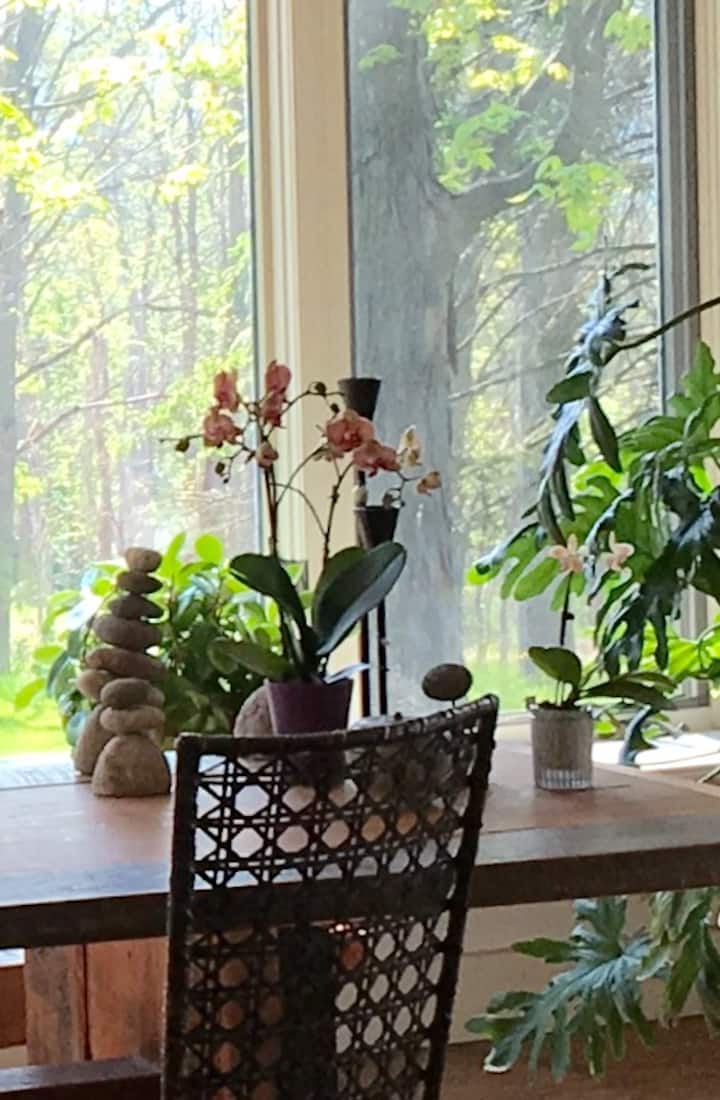 Bright Spacious Cozy Home With Pond - Ithaca, NY