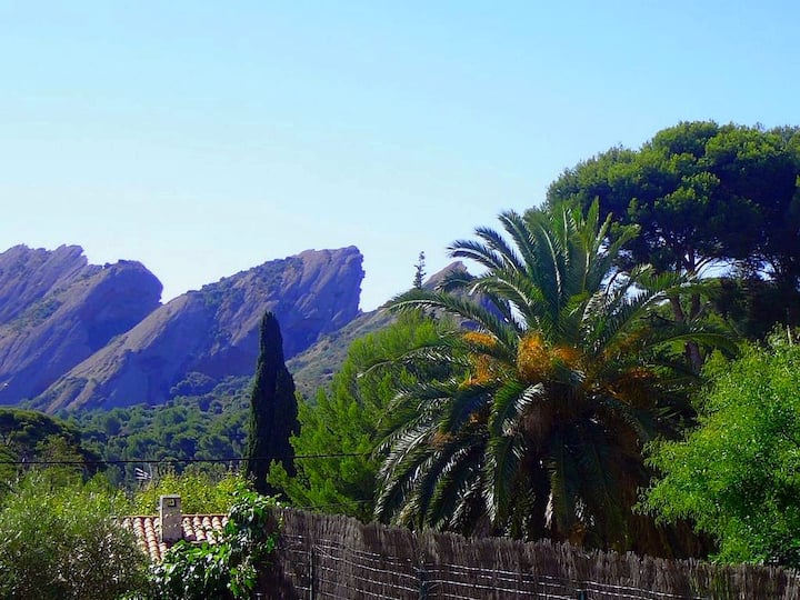 Jardin, Jolie Vue Mer, à Deux Pas Des Calanques - La Ciotat