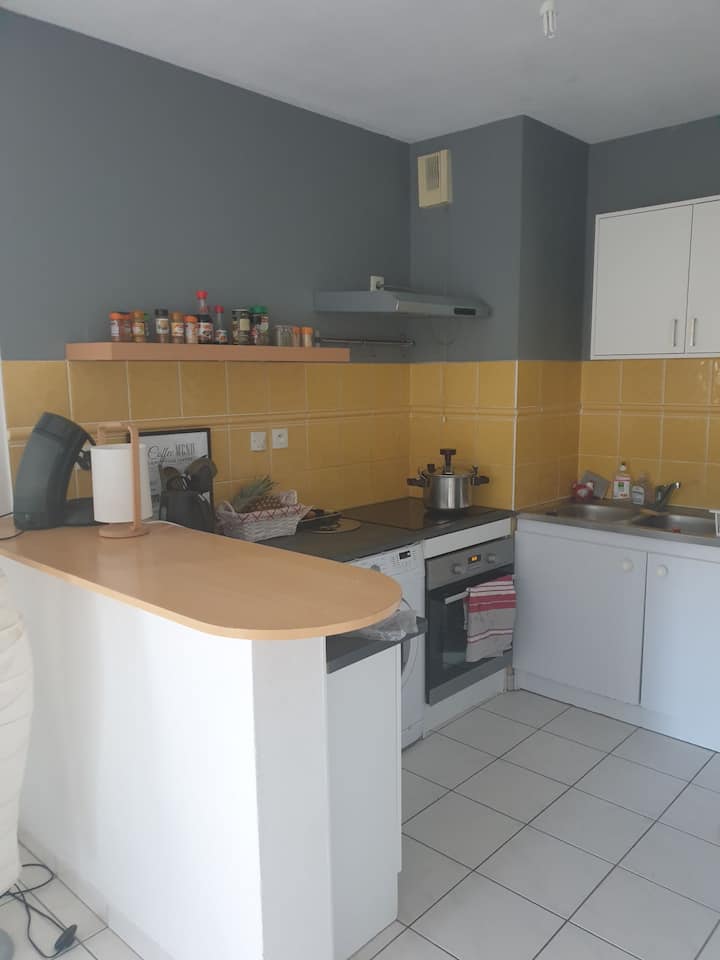 Grand Appartement Lumineux Avec Balcon - Pessac