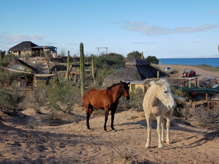 Top 10 Ranches To Stay In Mexico - Updated 2025 | Trip101