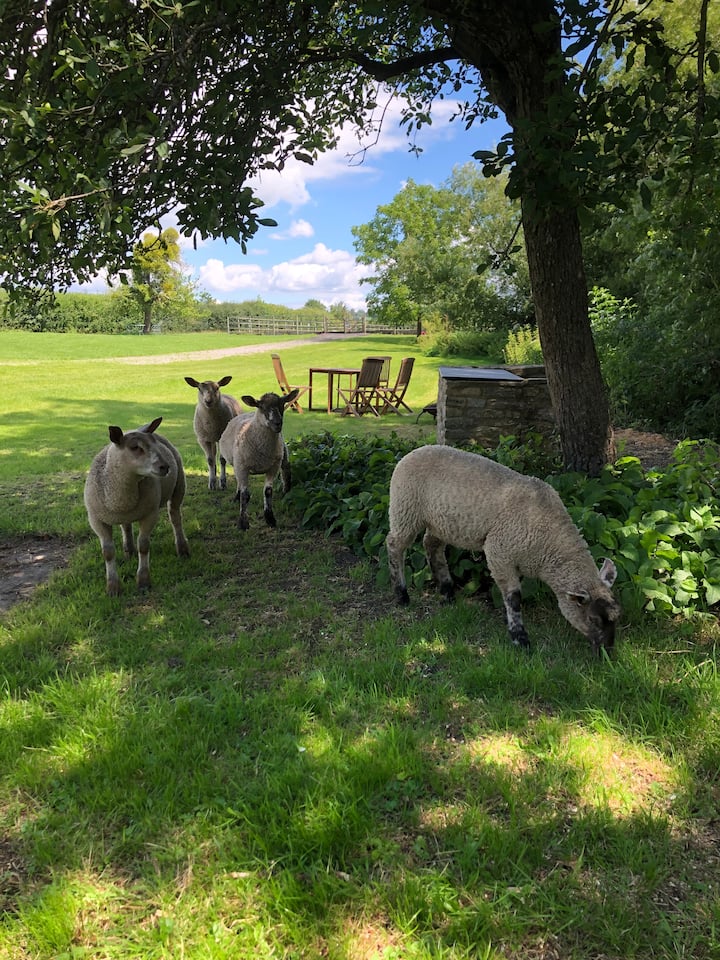 16th Century Grade Ii Listed Cottage For 5 People - Shepton Mallet