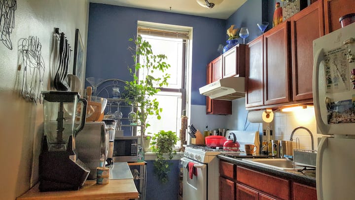 Cozy Brooklyn Hosted Stay–private Room In My Home - 布魯克林