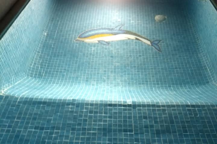 Casa Delfines - Acapulco