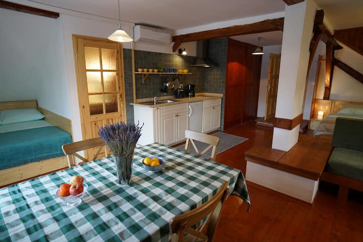 Martin's Hidden Garden Studio 2 For 2-4 Persons - Ljubljana