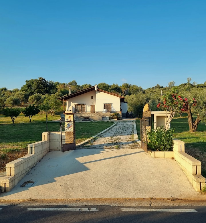 Villa Panno (Country Holiday House) - Campagna