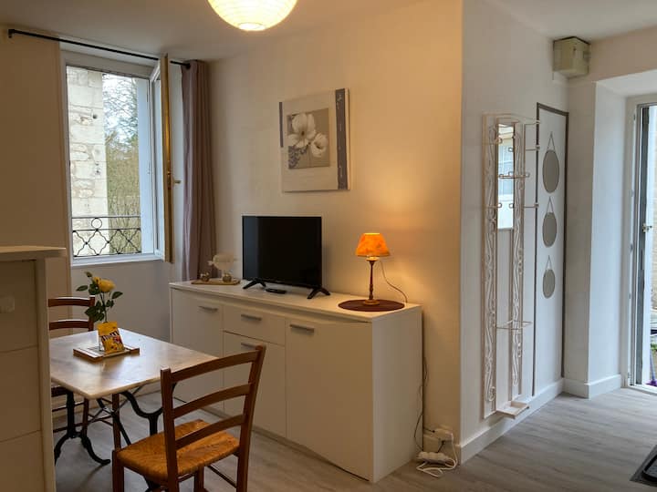 Idéal Pour Cure Et Proche Du Centre-ville - La Roche-Posay