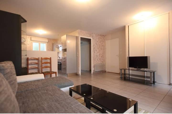 Appart Tourangeau 2 (Fête Interdite) - Tours
