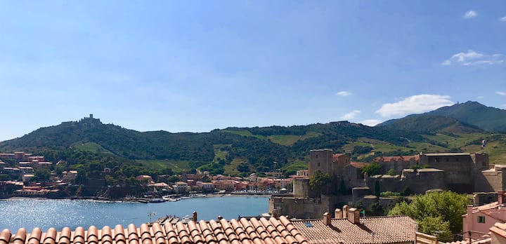 Zentrale Altstadtlage Mit Meerblick & Patio-garten - Collioure
