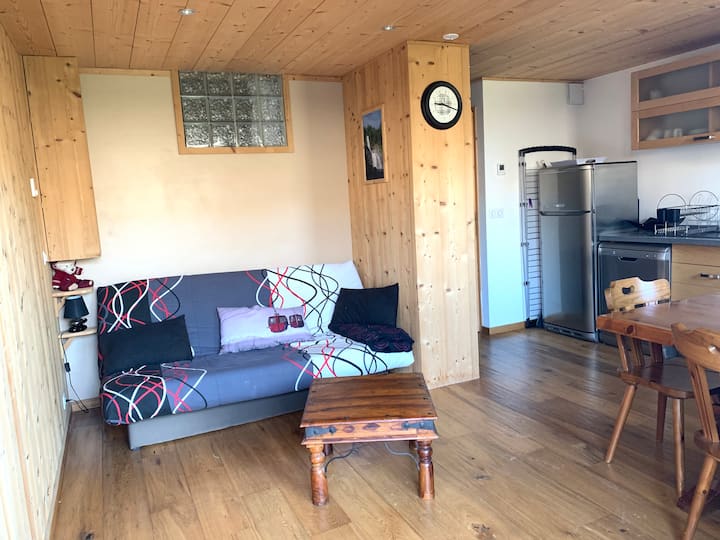 Appartement à Verchaix Face Au Grand Massif - Taninges