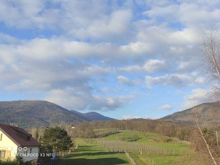 Bel Appartement Au Coeur Du Vignoble - Jungholtz
