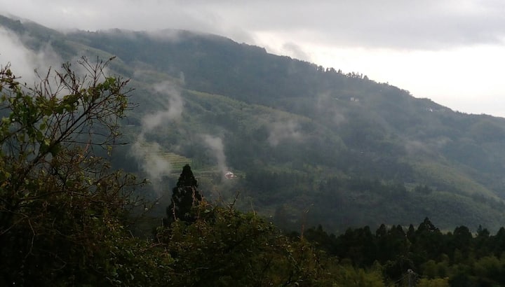 近嵐 - Alishan Township