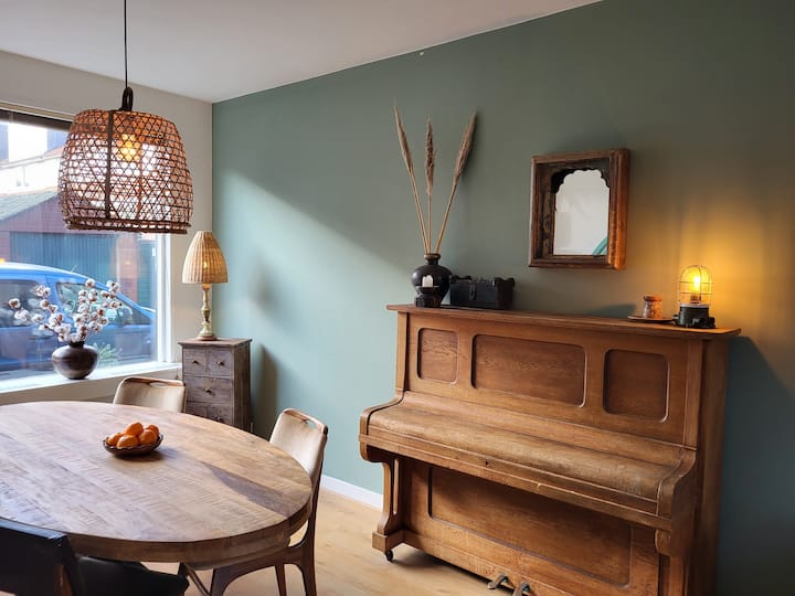 Room And Bike Near Amsterdam & Zaanse Schans - Zaandam